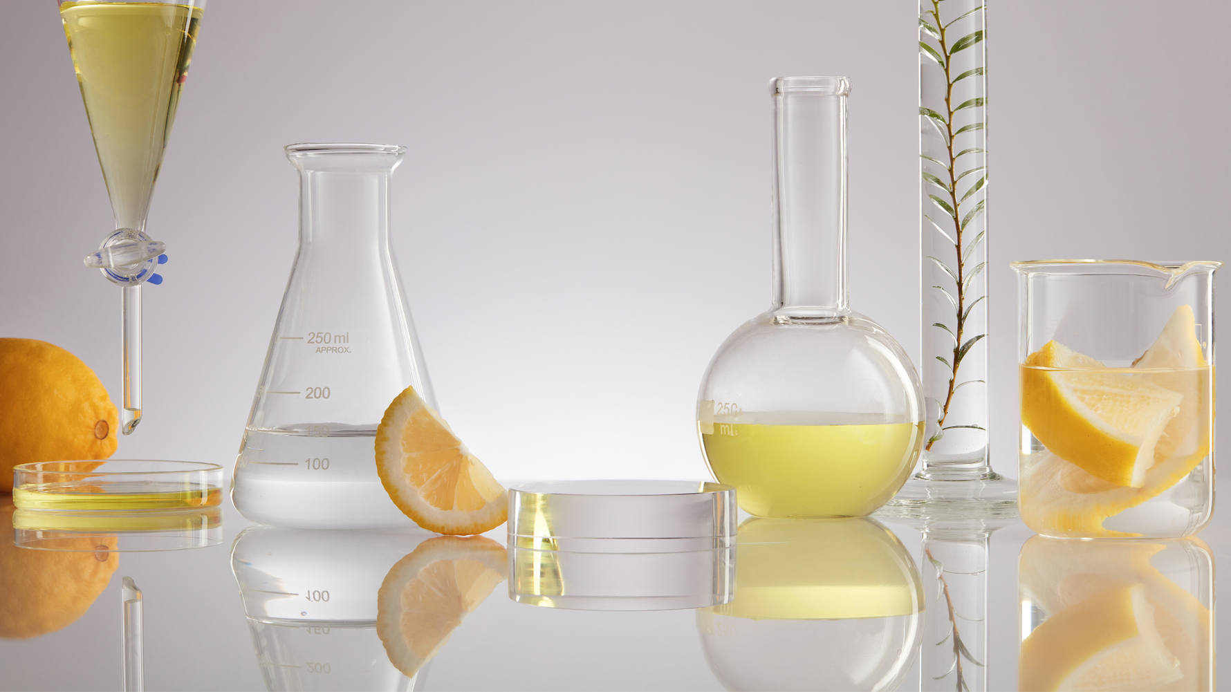 Wyld Promise – Wyld Notes